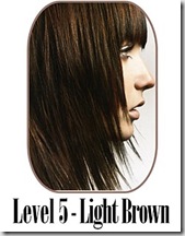 Level System : Helps You Choose Hair Color Formula | Killerstrands Hair ...